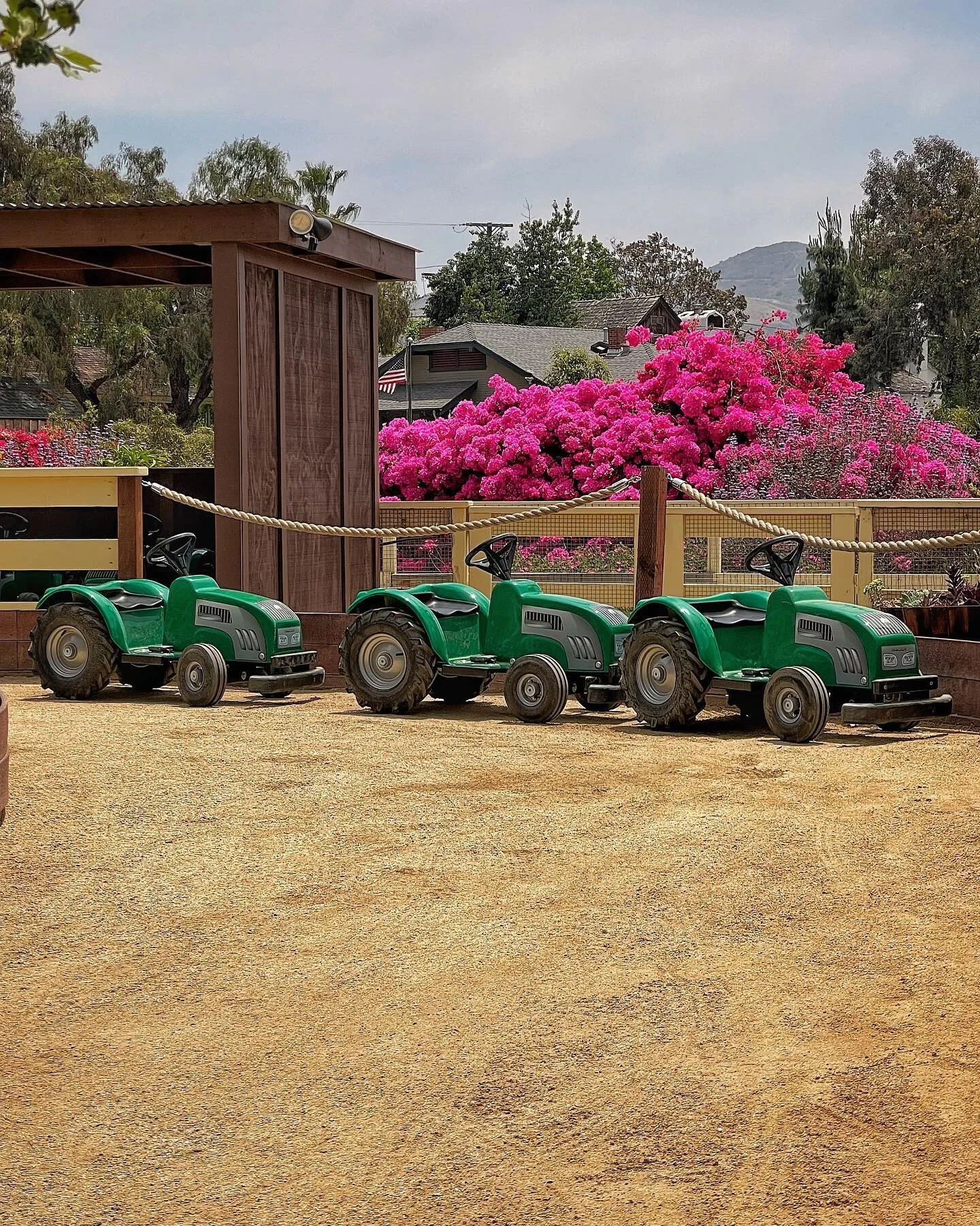 Zoomars at River Street Ranch