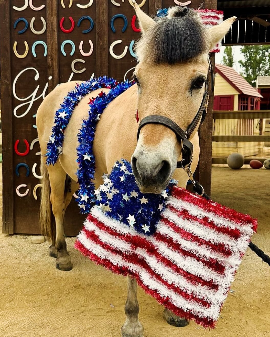 Zoomars at River Street Ranch