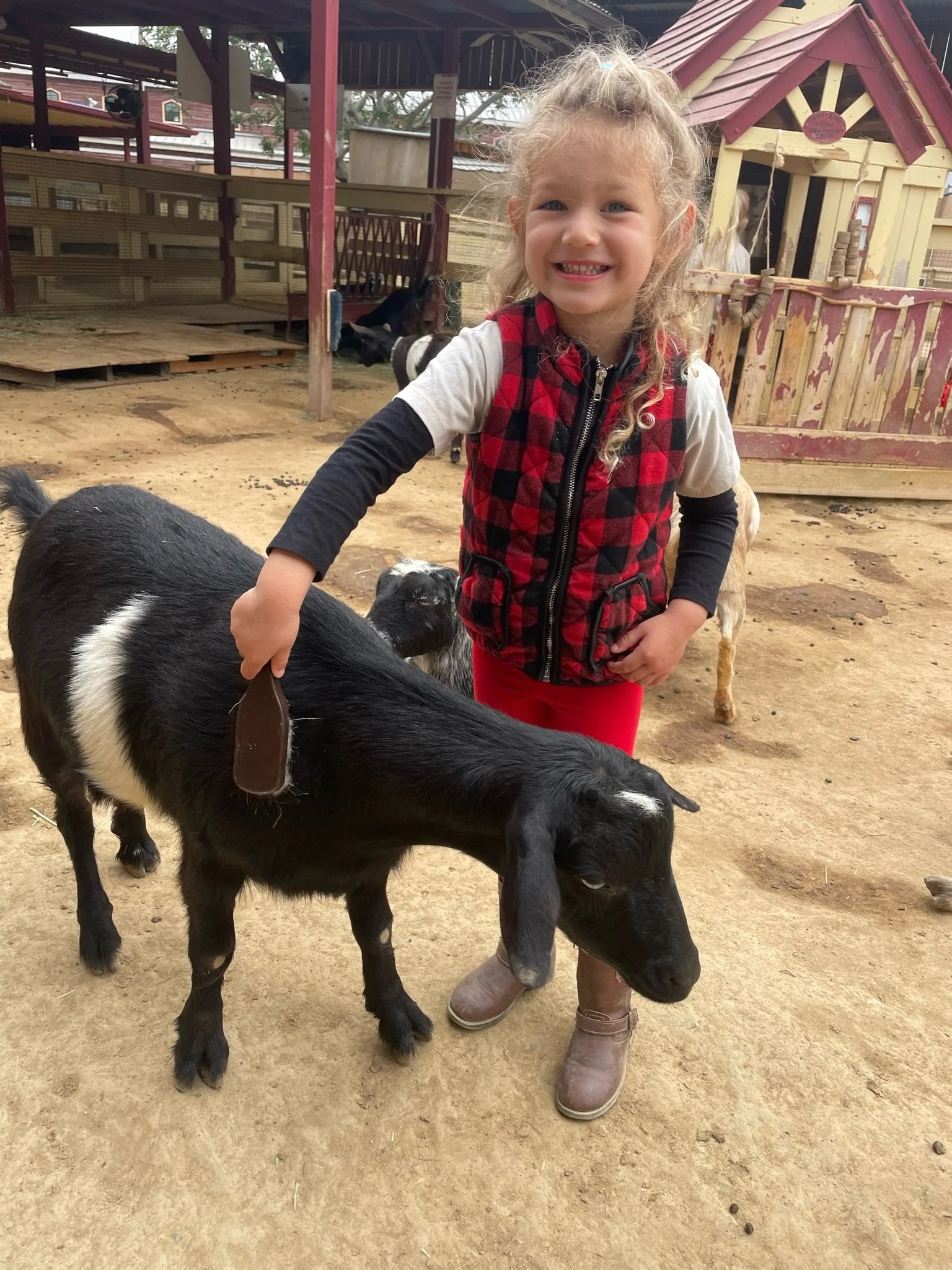 Camps — Zoomars at River Street Ranch