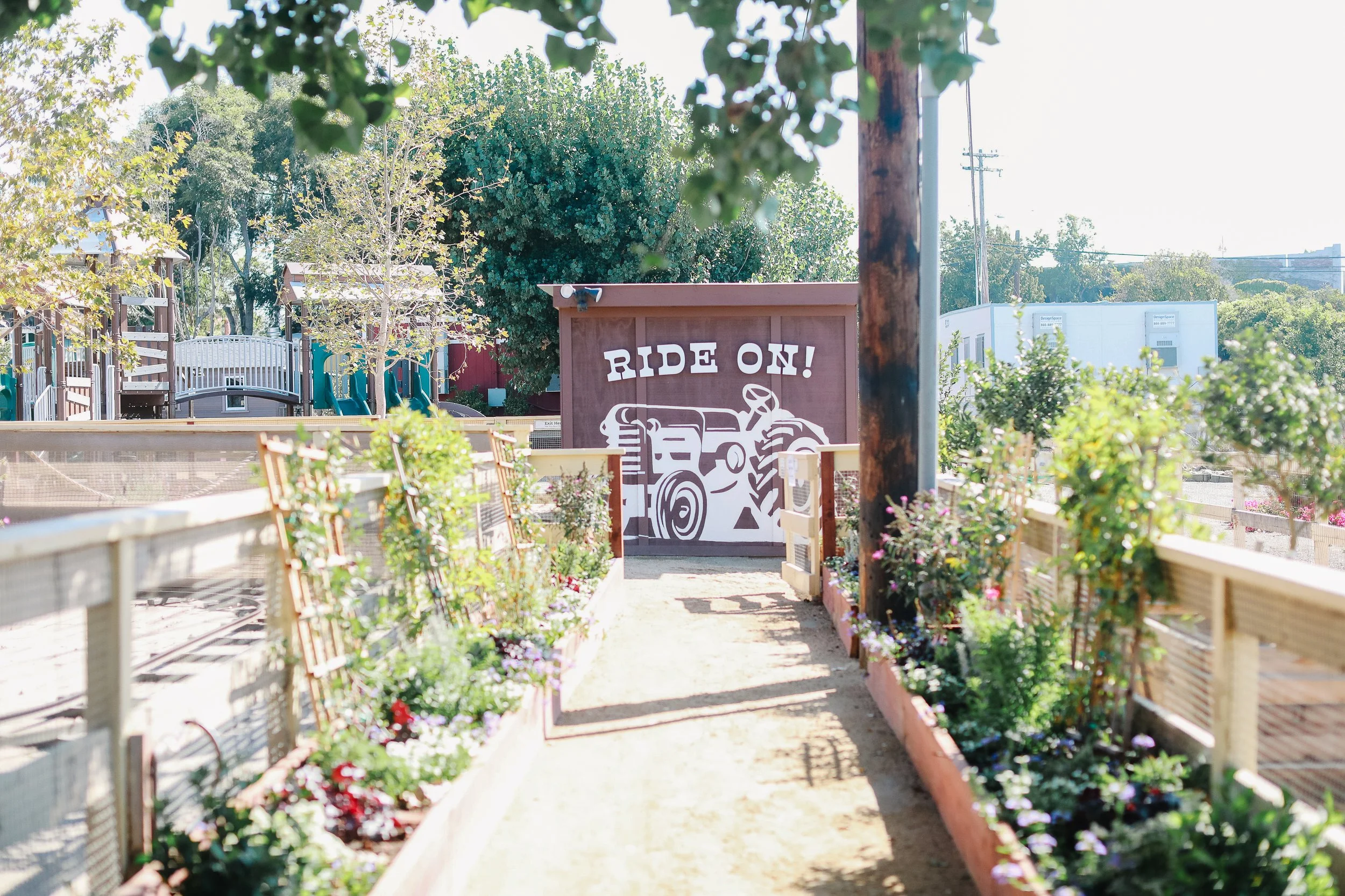 Field Trips — Zoomars at River Street Ranch