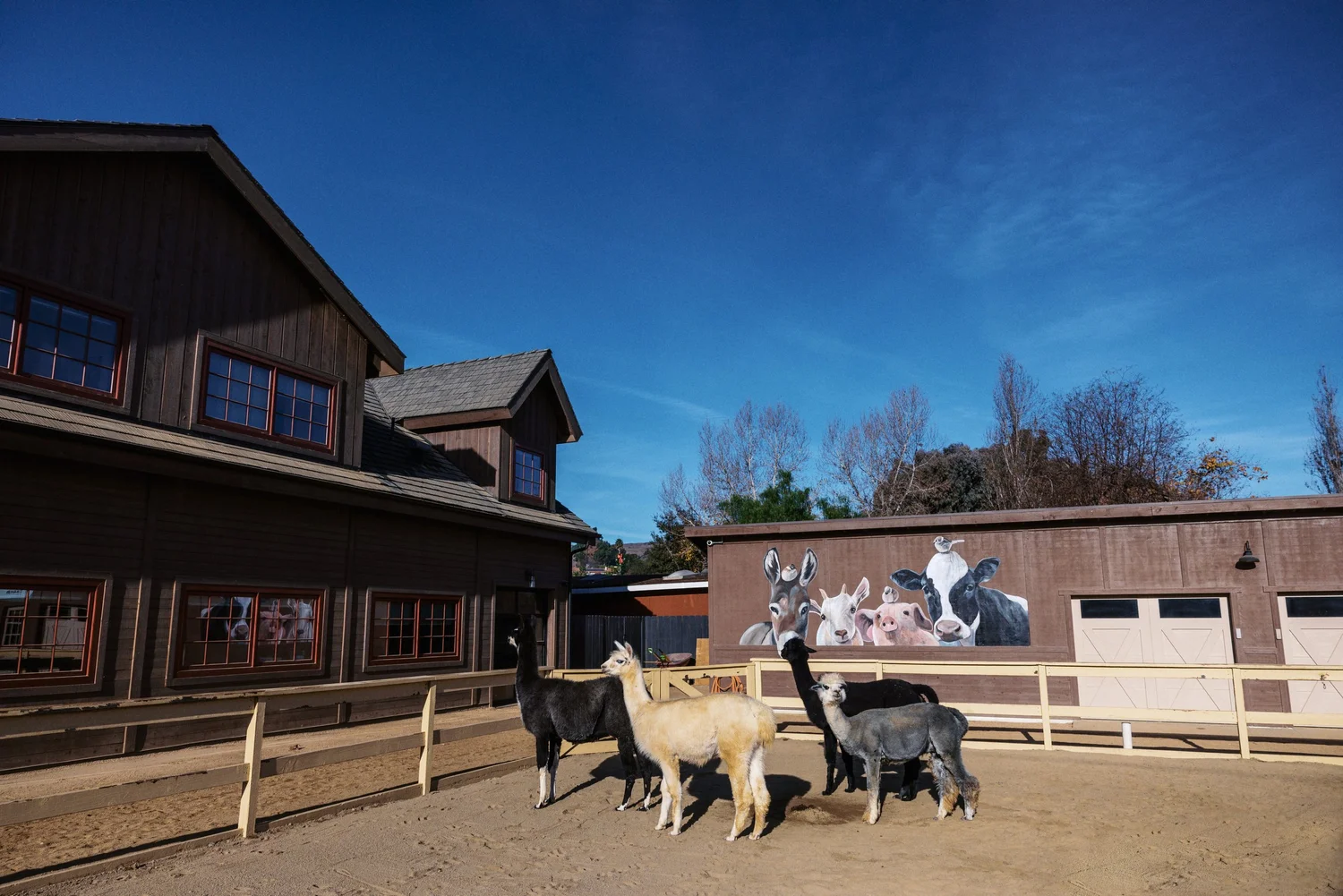 Plan a Visit — River Street Ranch