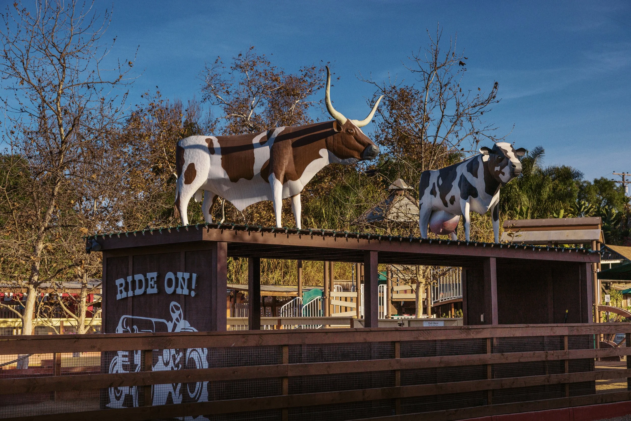 Field Trips — River Street Ranch