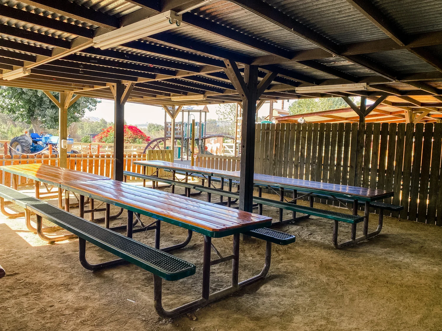 Celebrate — Zoomars at River Street Ranch