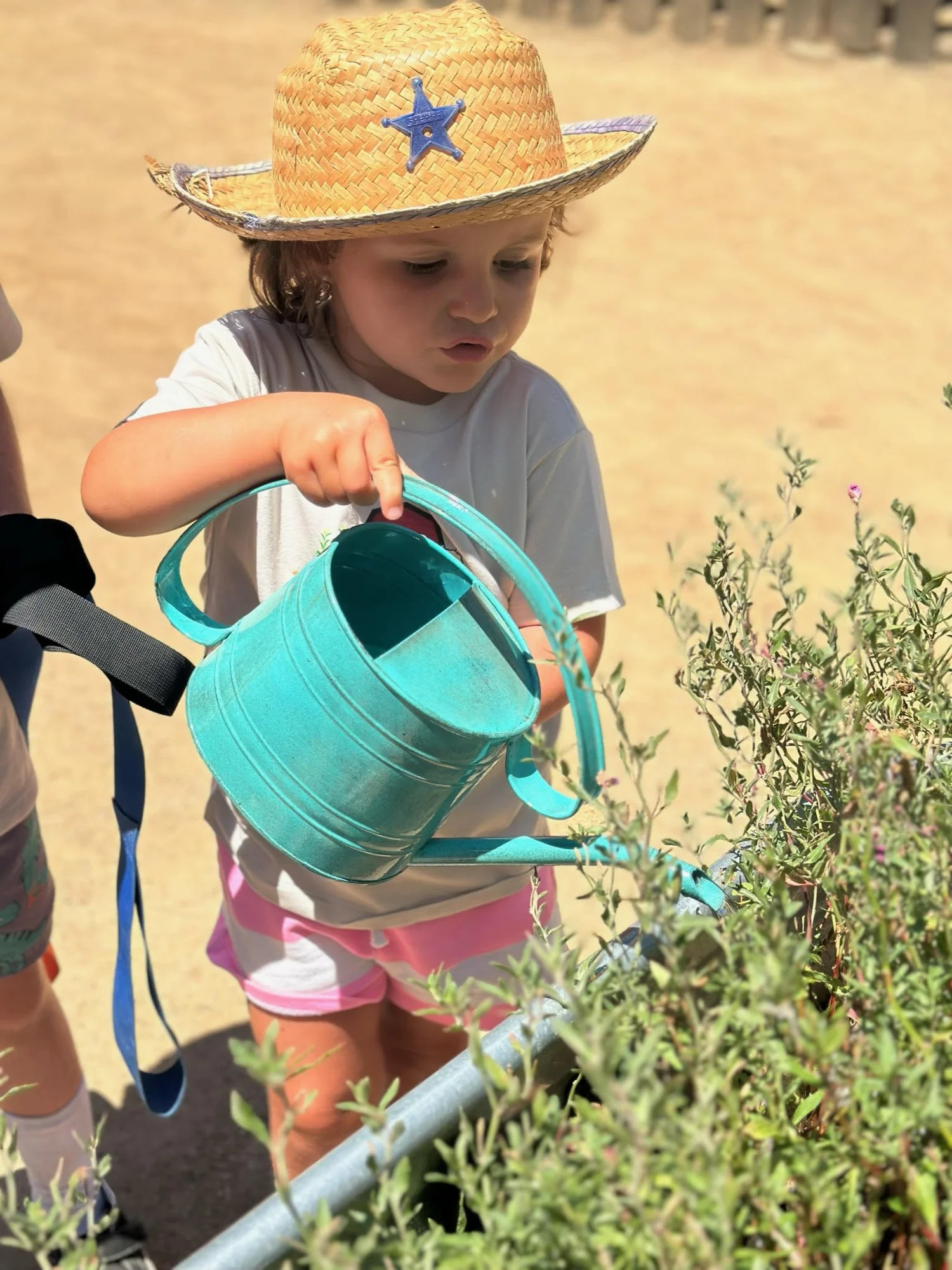 Camps — Zoomars at River Street Ranch