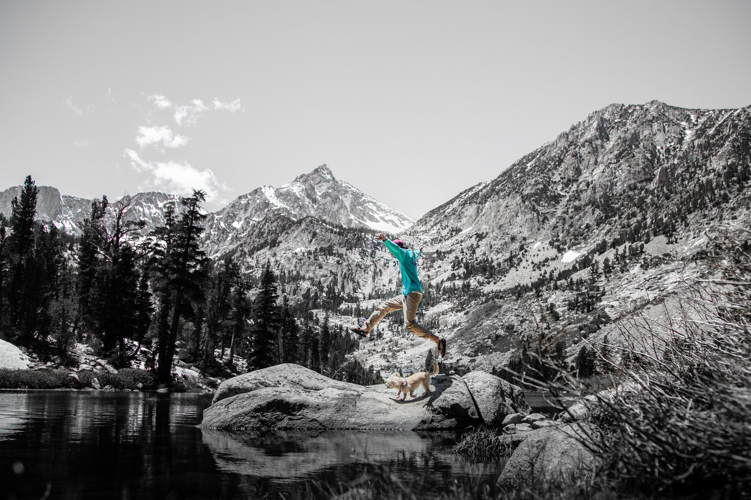 About — Samara Creative