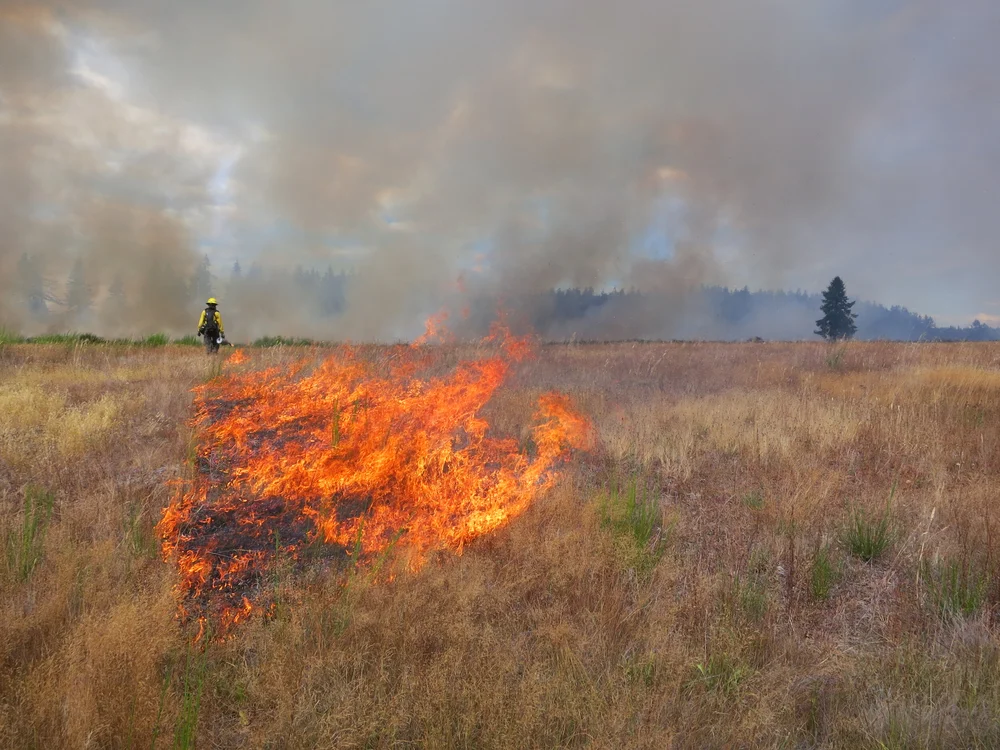 Certified Professionals — Association for Fire Ecology