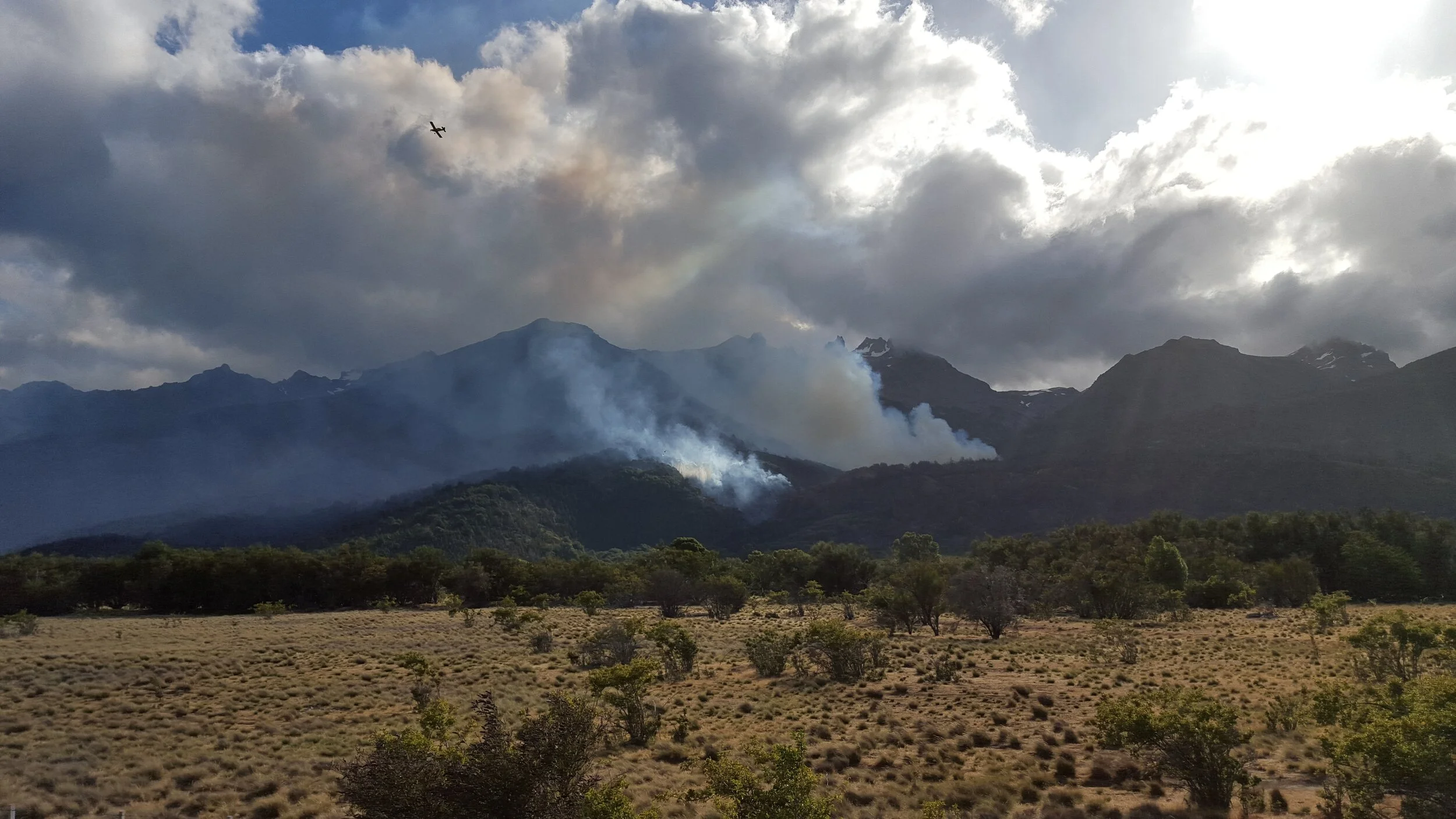 2020 Outstanding Associate Editor — Association for Fire Ecology