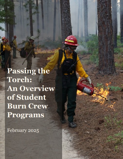 Passing the Torch: An Overview of Student Burn Crew Programs ...