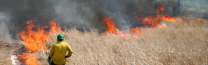 WUI 2026: Fighting Wildfire In a Changing World — Association for Fire ...