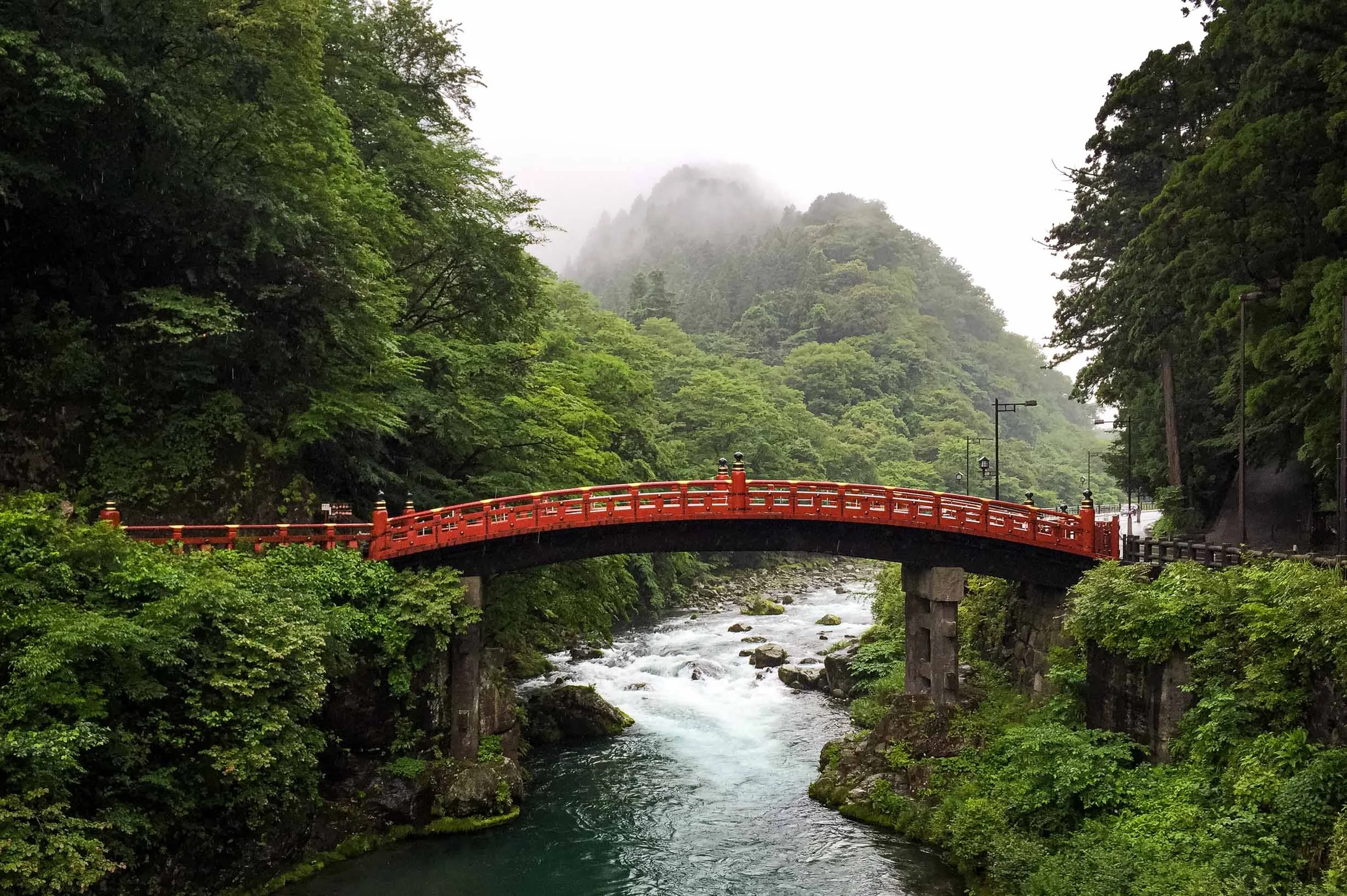 Nikko - 6 — Mitch Meyer Photos