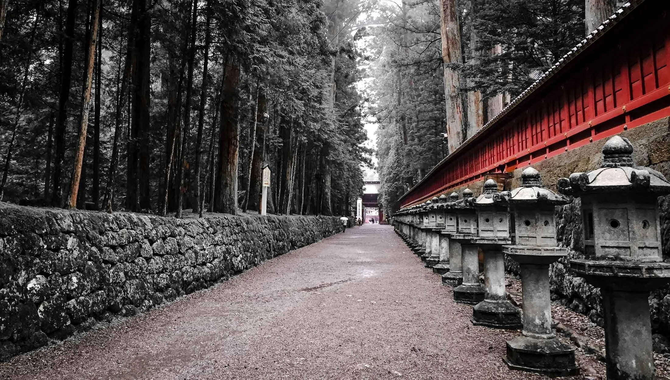 Nikko - 6 — Mitch Meyer Photos