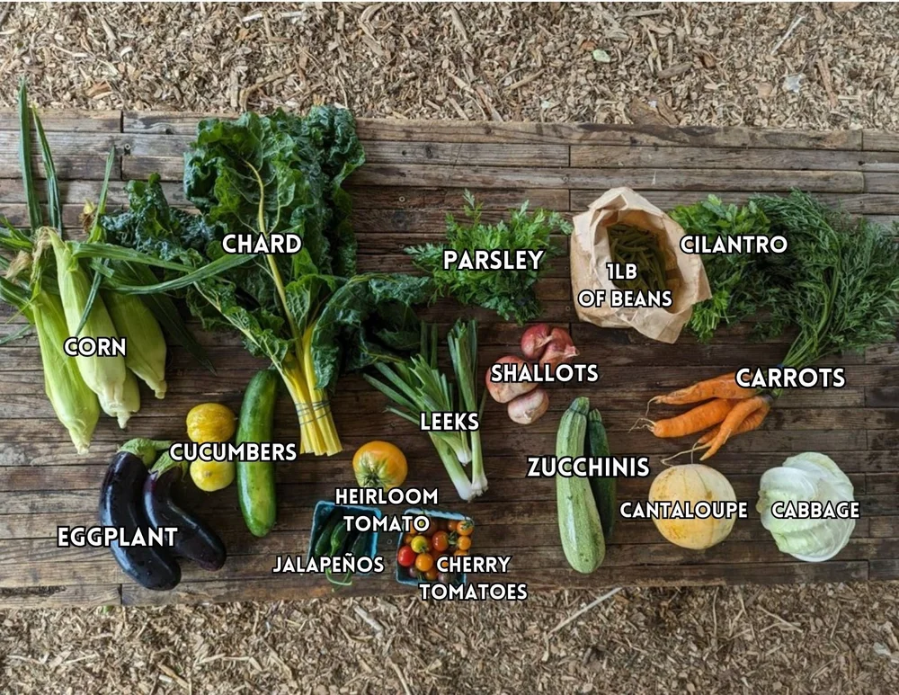 CSA — Working Theory Farm