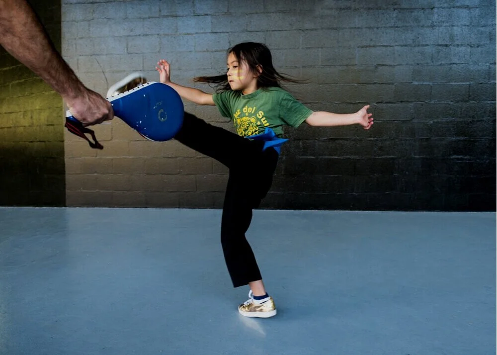 Kung Fu School in Laidley