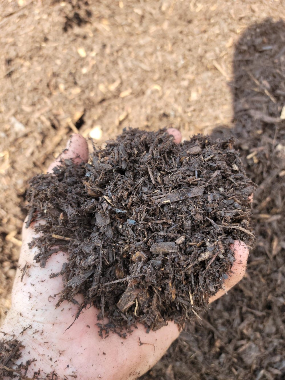 Services 1 — Vermi-Green LLC