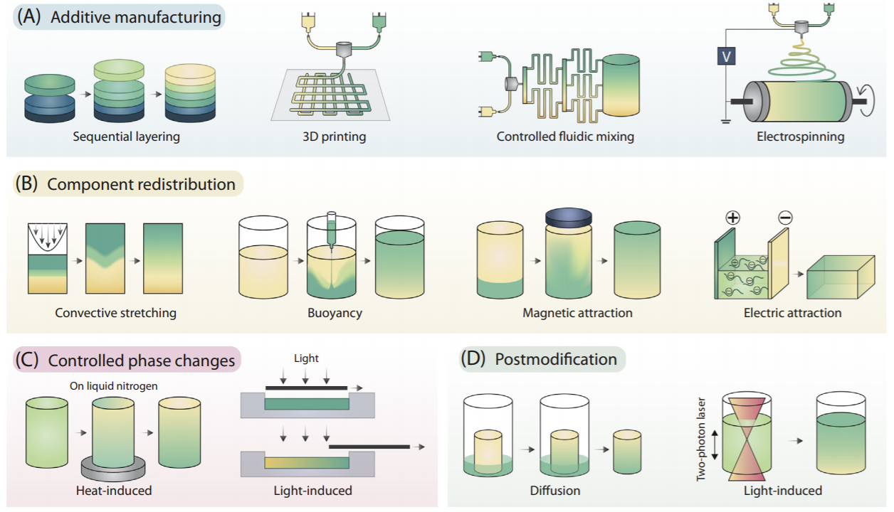 Bioelectronics & Regenerative Engineering — The Stevens Group