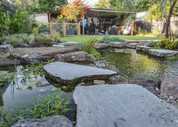 Natural pond maintenance — Ben Hutchinson Landscapes – Native ...