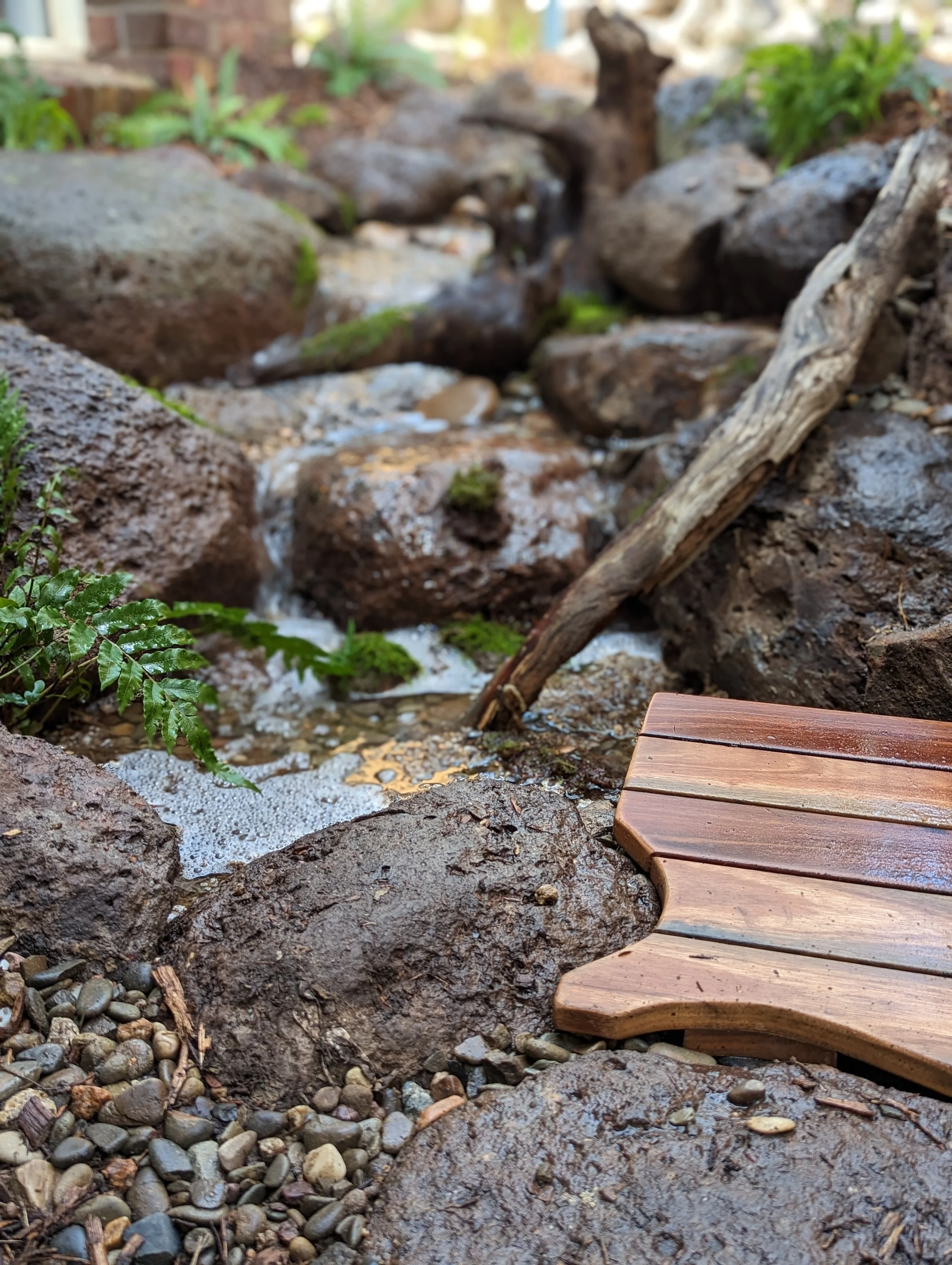 Australian native gardens, natural ponds and water features — Ben ...