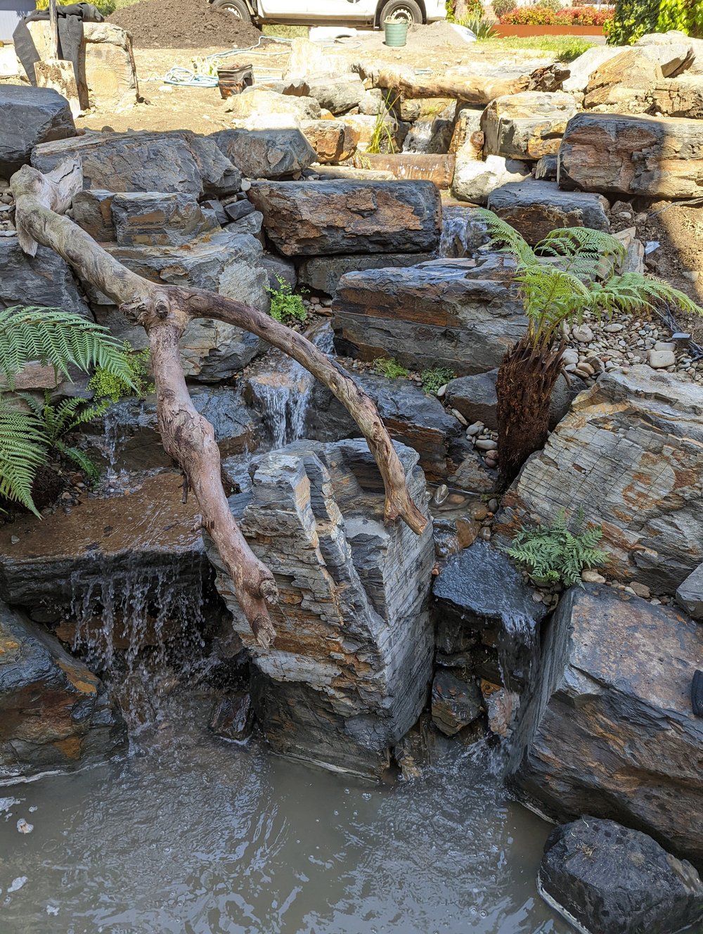 Australian native gardens, natural ponds and water features — Ben ...