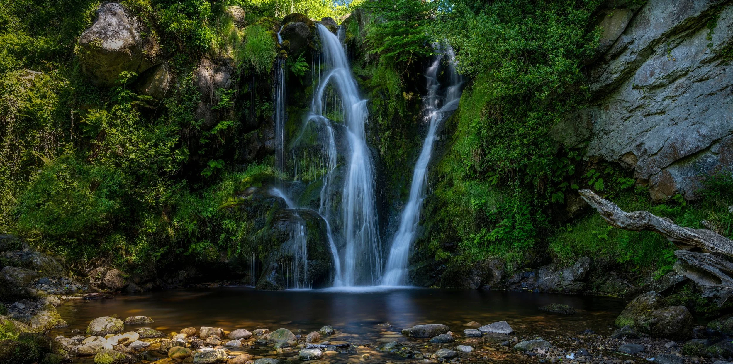 Totally Tropical — Garry Sugden Photography