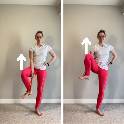 How to Do a Y Scale Leg Hold — Dani Winks Flexibility
