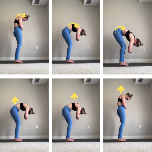 Back Stretches for Full Spinal Flexibility — Dani Winks Flexibility