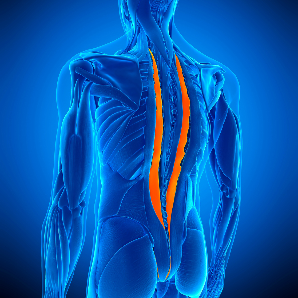 Help! My Back Hurts After Backbending — Dani Winks Flexibility