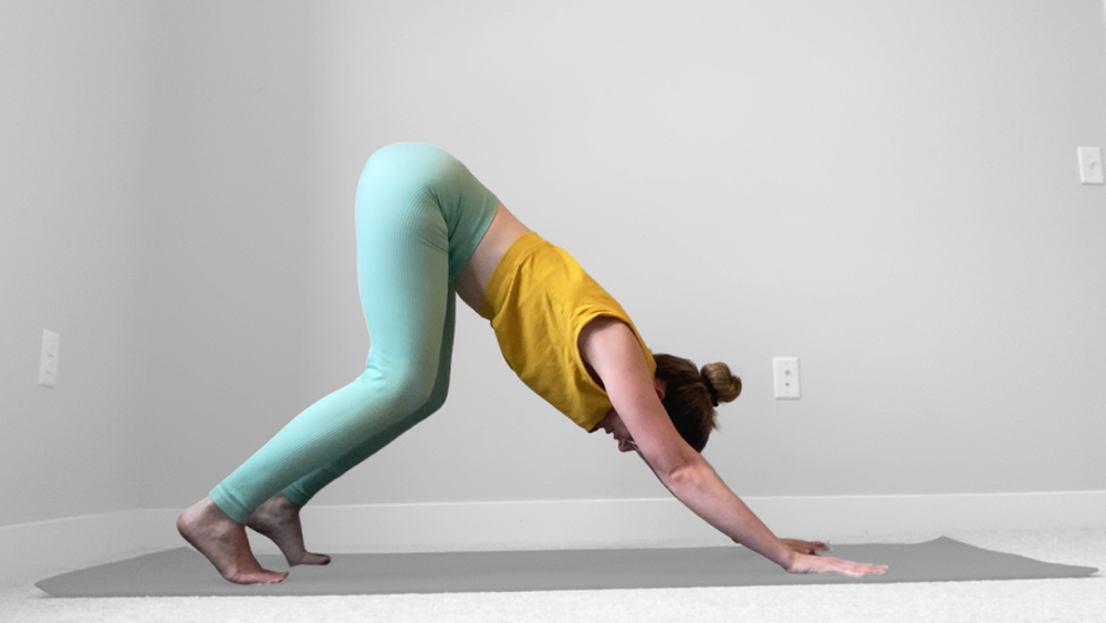 Hamstring Stretches Dani Winks Flexibility