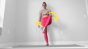 Hip Rotation (ROM) — Dani Winks Flexibility