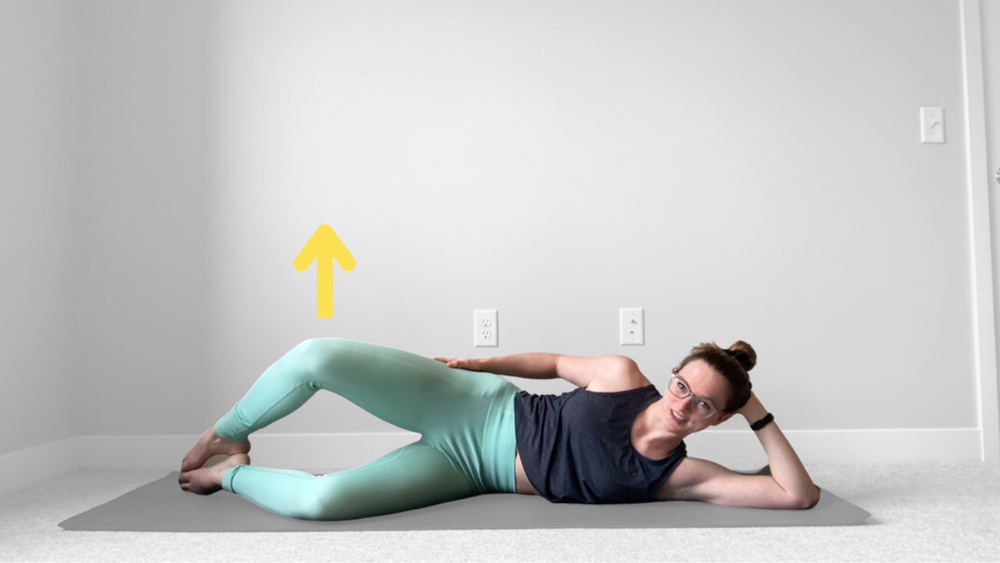 Hip Rotation (ROM) — Dani Winks Flexibility