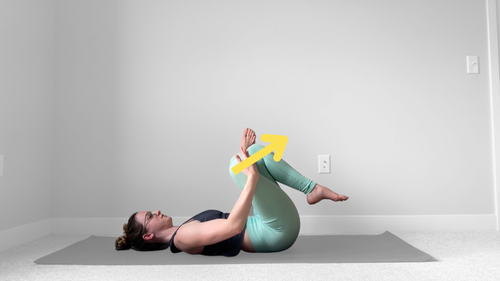 Hip Rotation (ROM) — Dani Winks Flexibility