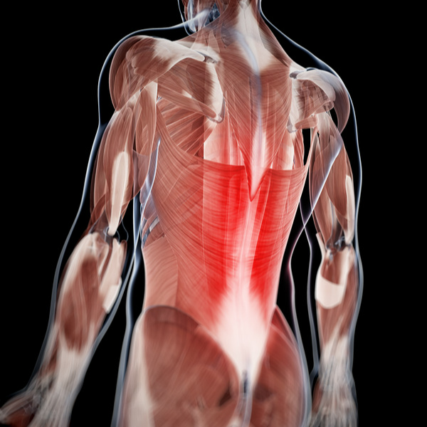 Back Stretches — Dani Winks Flexibility