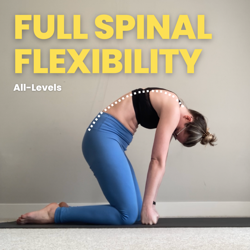 Flexibility Images