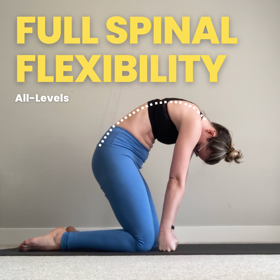 Back Stretches for Full Spinal Flexibility — Dani Winks Flexibility