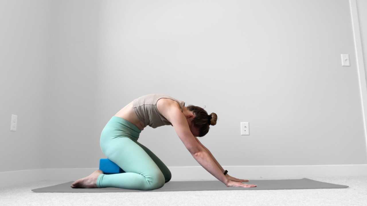 Back Stretches — Dani Winks Flexibility