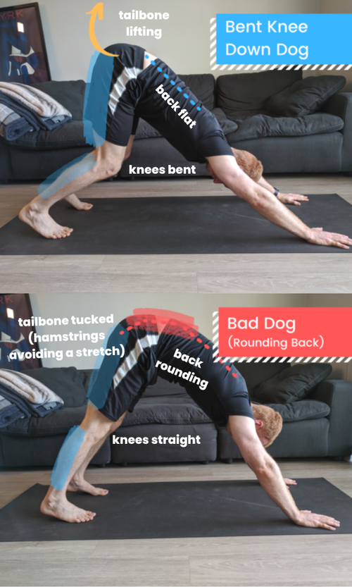 Hamstring Stretches — Dani Winks Flexibility