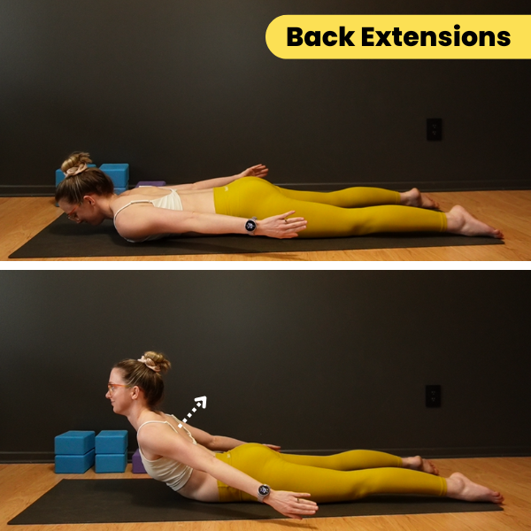 10 Min Back Flexibility Routine — Dani Winks Flexibility