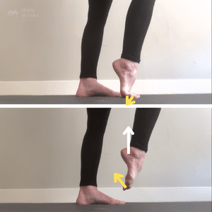 Getting a “Pointier” Toe Pointe — Dani Winks Flexibility