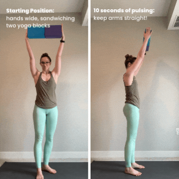 Pushing Up Into a Bridge: Progression — Dani Winks Flexibility