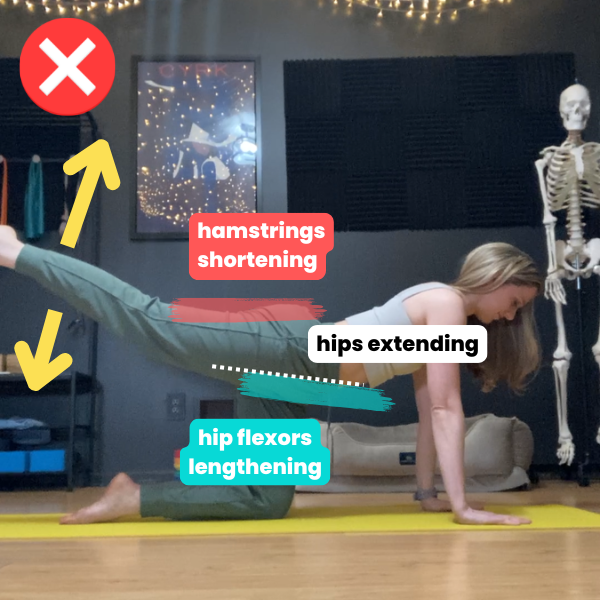 Why (and How) to Warm Up Before Stretching — Dani Winks Flexibility