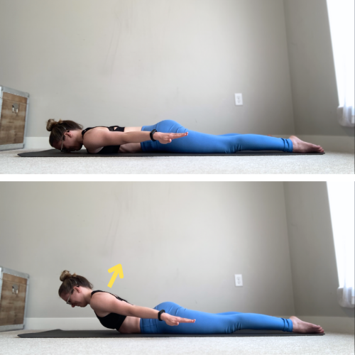 Back Stretches for Full Spinal Flexibility — Dani Winks Flexibility