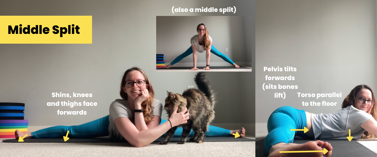 Straddle vs. Middle Split - What’s the Difference? — Dani Winks Flexibility