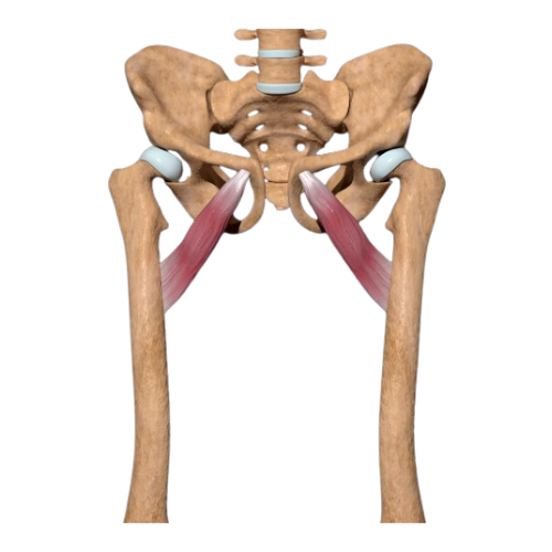 I Can Open My Hips in a Frog Stretch, But Not Middle Splits - What ...