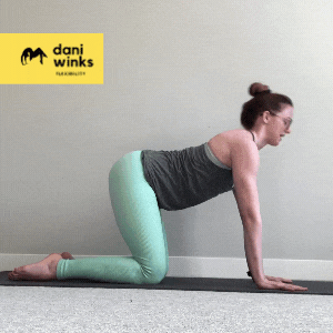 6 Cat-Cow Variations for Spinal and Shoulder Mobility — Dani Winks ...