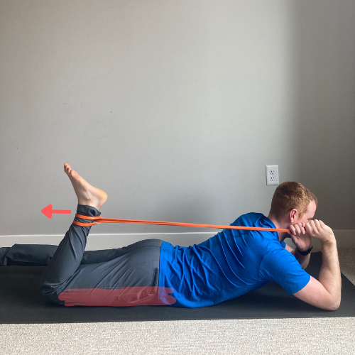 5 Beginner-Friendly Quad Stretches — Dani Winks Flexibility