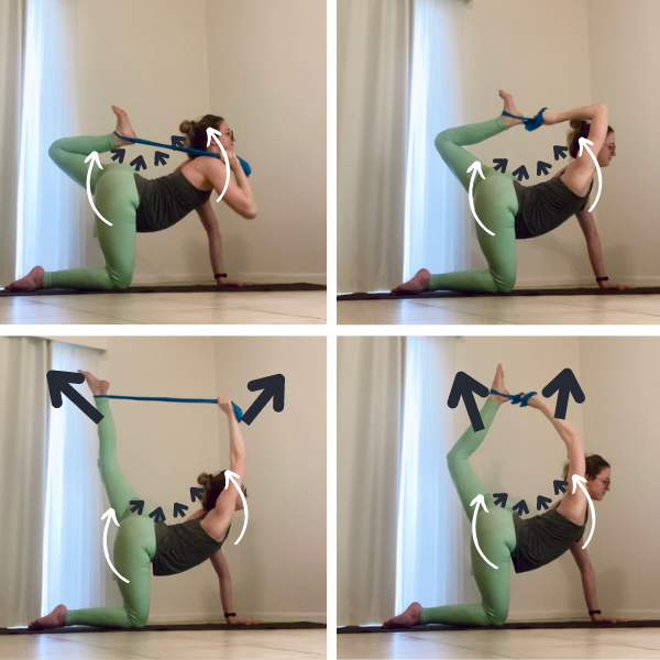 4 Bird Dog Variations for Bendier Backbends — Dani Winks Flexibility