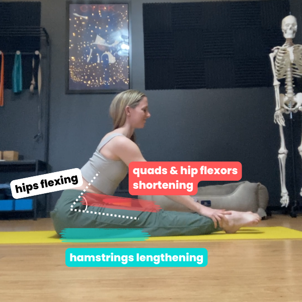 Why (and How) to Warm Up Before Stretching — Dani Winks Flexibility
