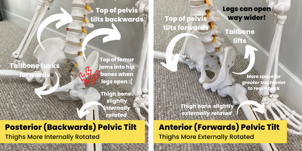 Help! My Outer Hips Hurt When I Straddle — Dani Winks Flexibility