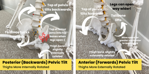 Help! My Outer Hips Hurt When I Straddle — Dani Winks Flexibility