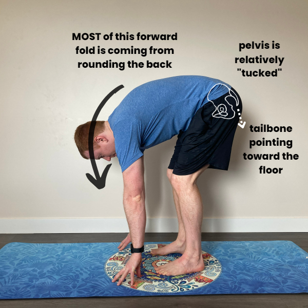 Is it OK to Round Your Back in a Forward Fold? — Dani Winks Flexibility