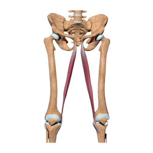 I Can Open My Hips in a Frog Stretch, But Not Middle Splits - What ...